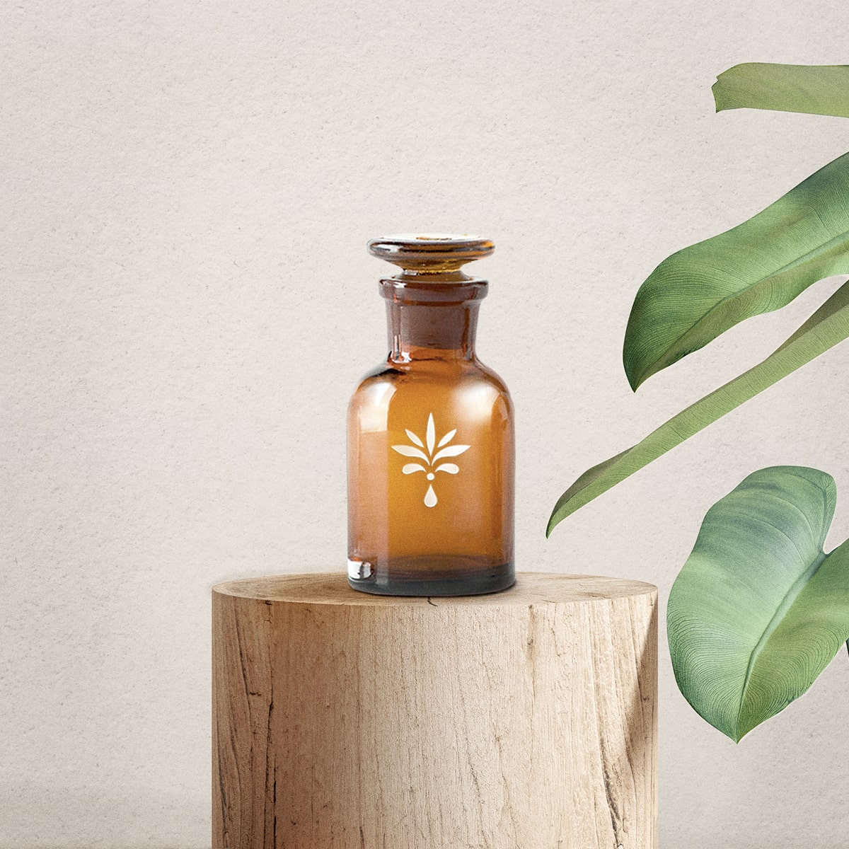 What is the difference between a perfume and a fragrance? - Escentina